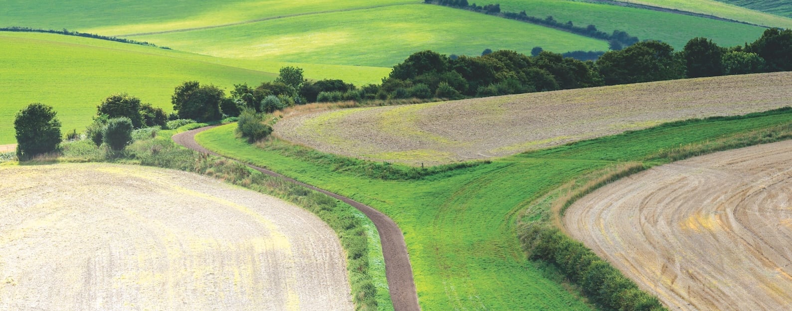 Land management at The Game Fair