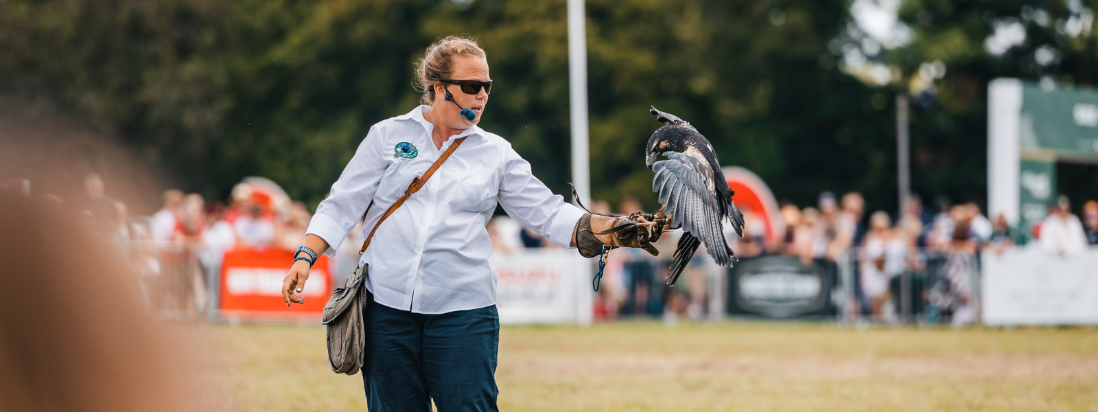 Falconry at The Game Fair