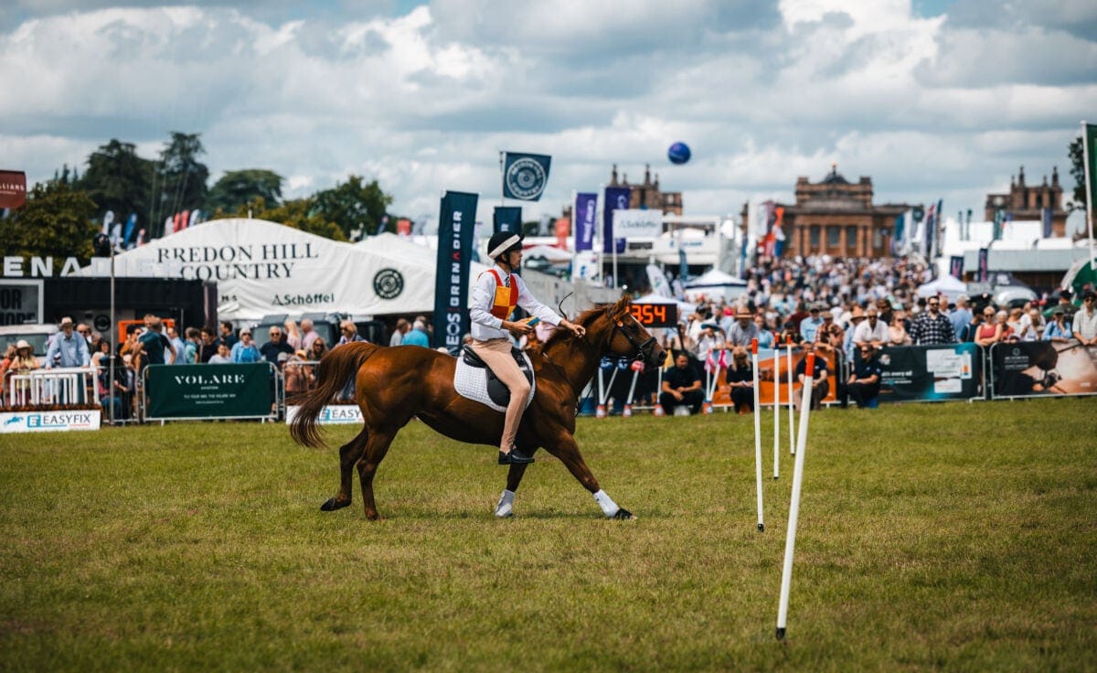 Main Arena at The Game Fair