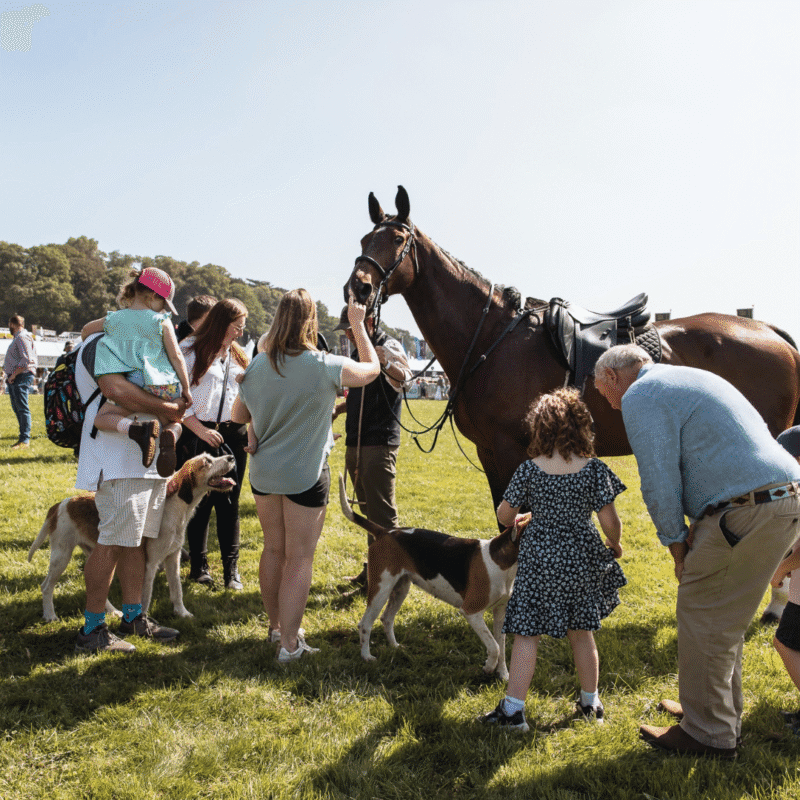 Visiting for the First Time - The Game Fair